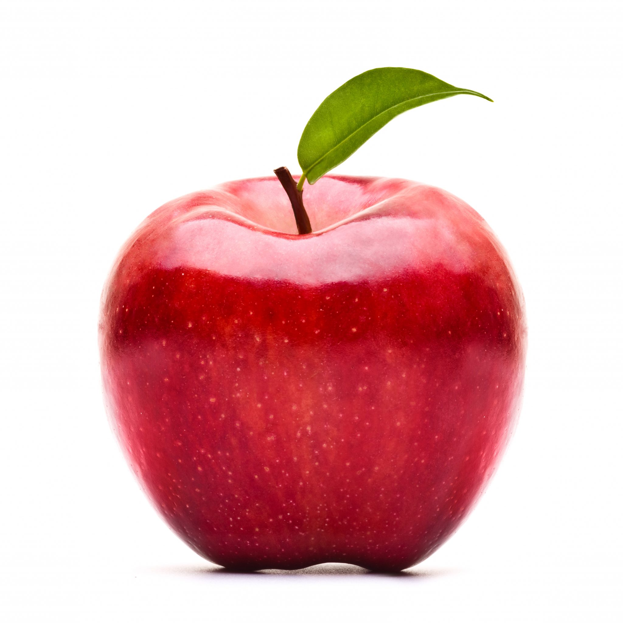 Donate - National CACFP Sponsors Association