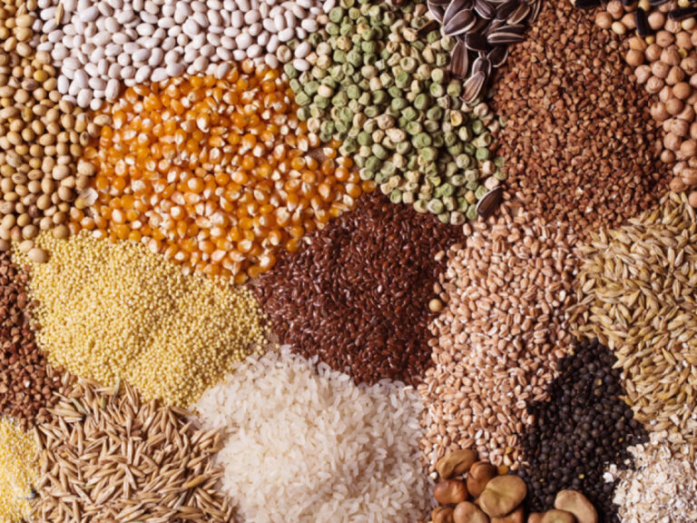 Grain Requirements in the CACFP Q&A - National CACFP Sponsors Association