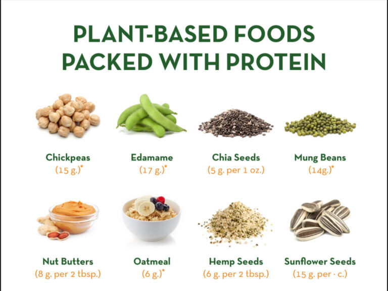Quick Guide to Plant-Based Proteins - National CACFP Association